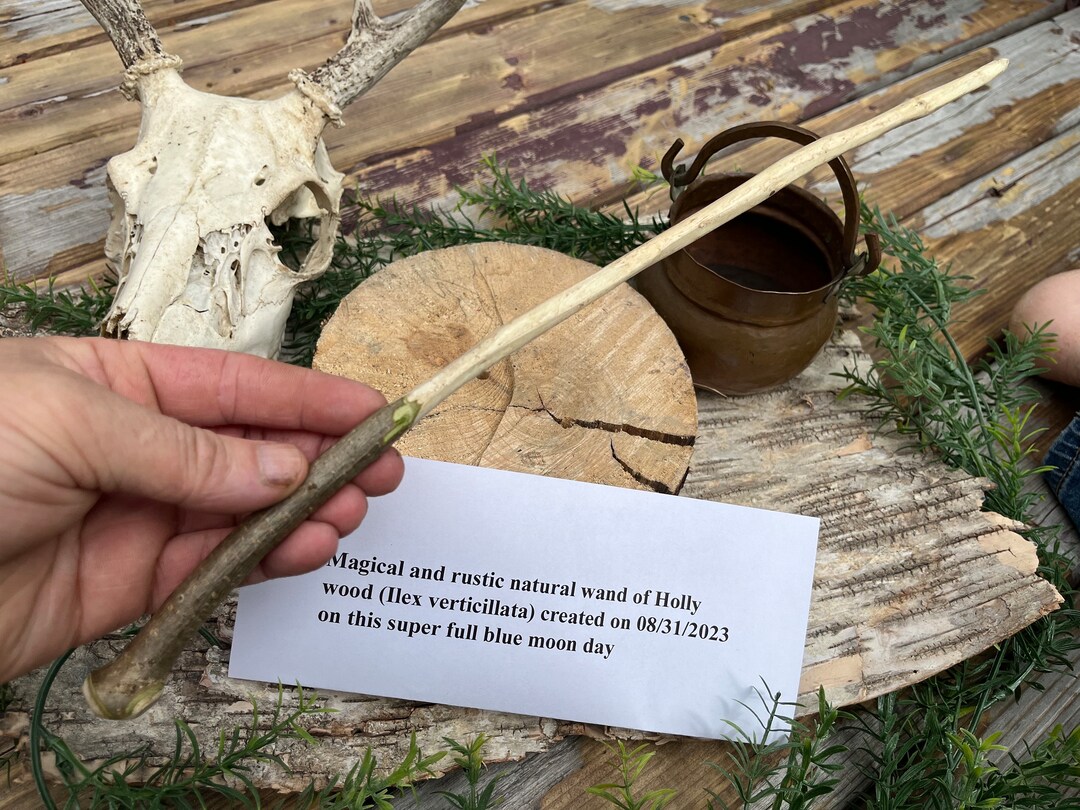 Magic and Rustic Wand of Natural Natural Winter Holly Stick (ilex ...