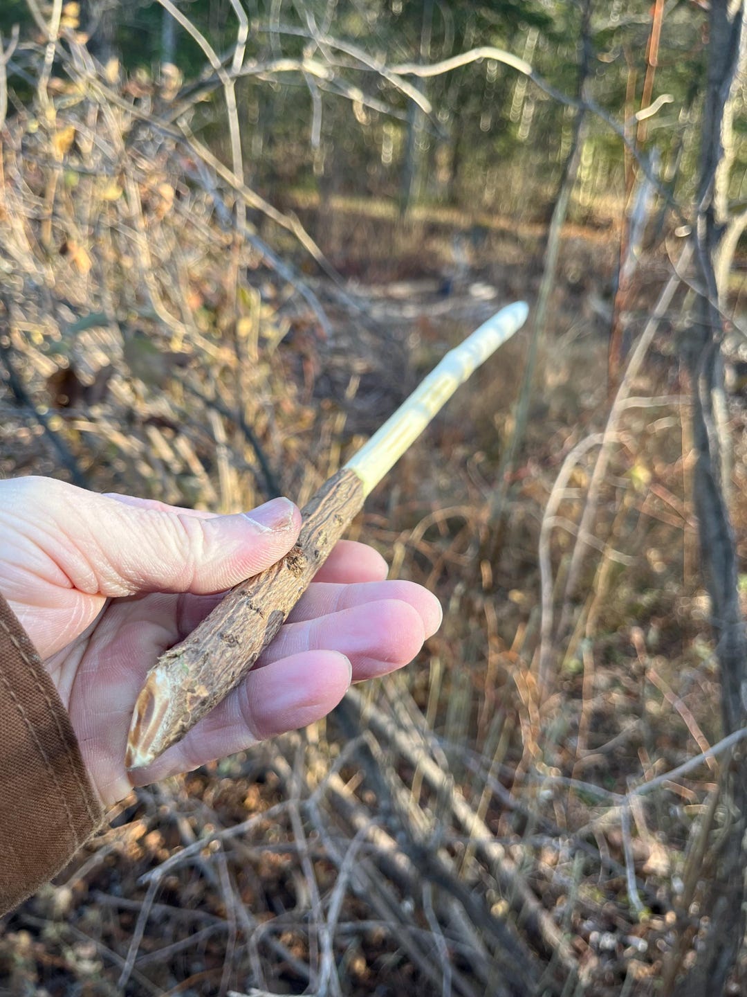 Natural Elder Tree Wand sambucus Canadensis Named Calum malcolm Made on ...