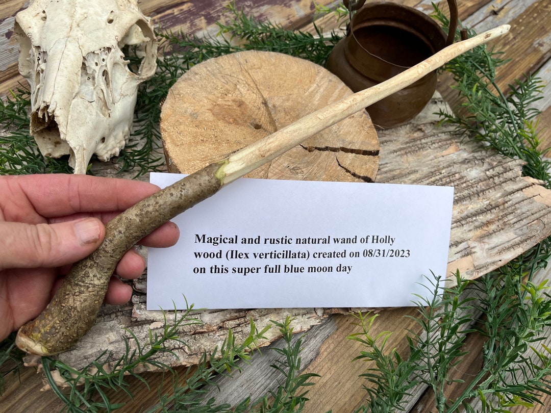 Magic and Rustic Wand of Natural Natural Winter Holly Stick (ilex ...