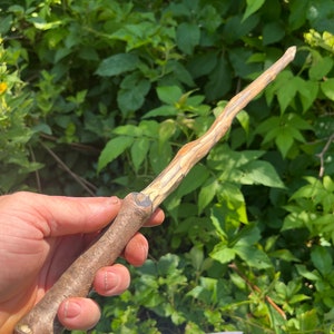 Traditional Cedar Wood Wand Named Aig Am Bheil Cruth Dubhach Na ...