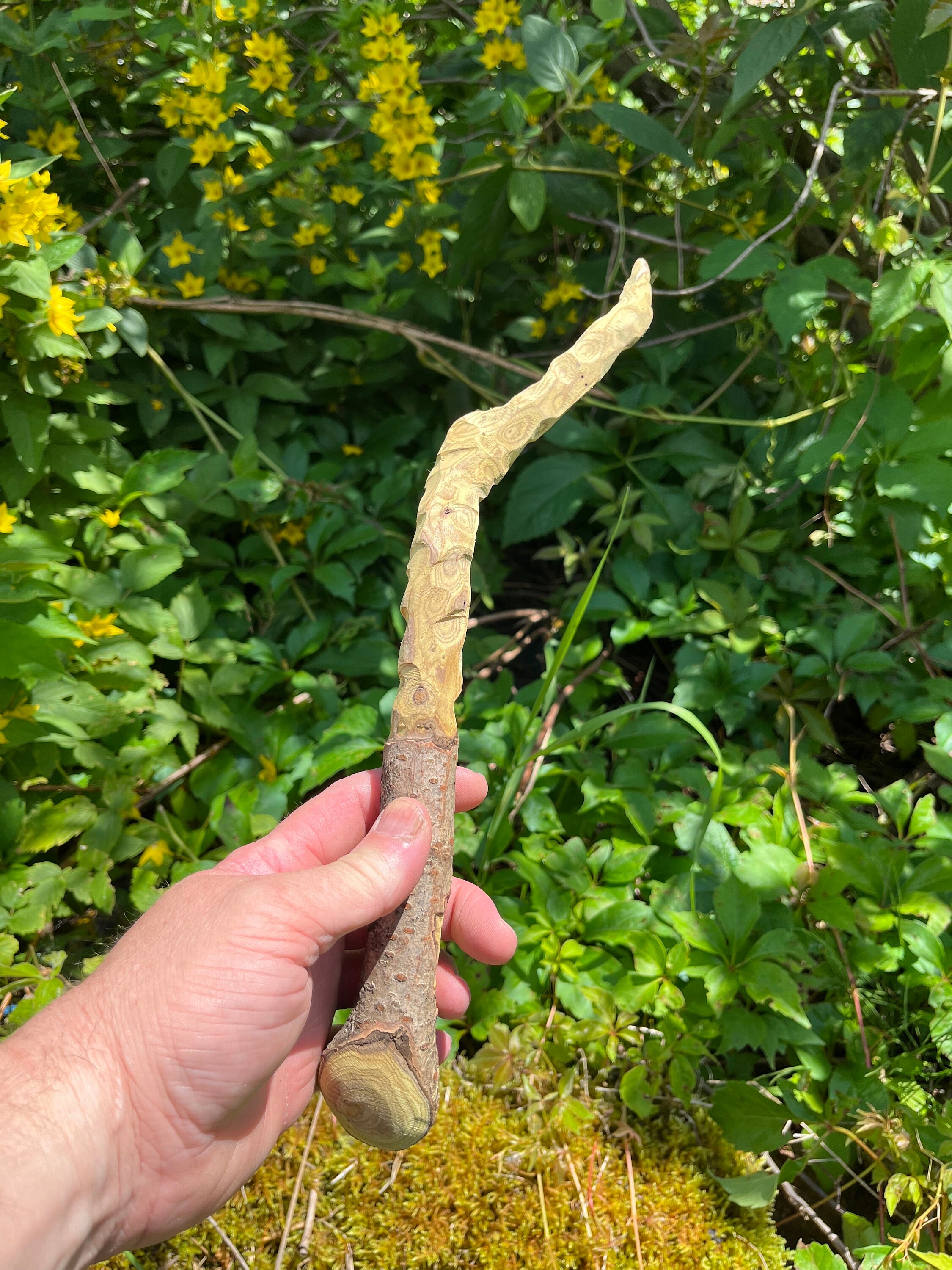 Natural Magic Wand Made of Sumac Wood Vinegar rhus Typhina the Wood of ...