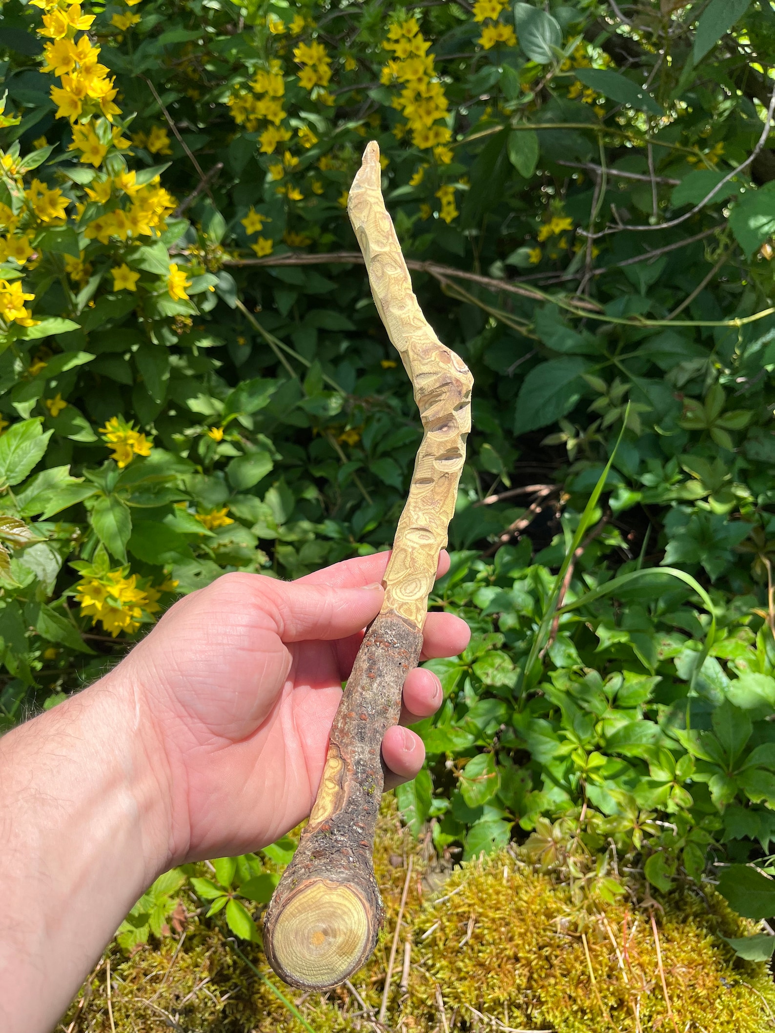 Natural Magic Wand Made of Sumac Wood Vinegar rhus Typhina the Wood of ...