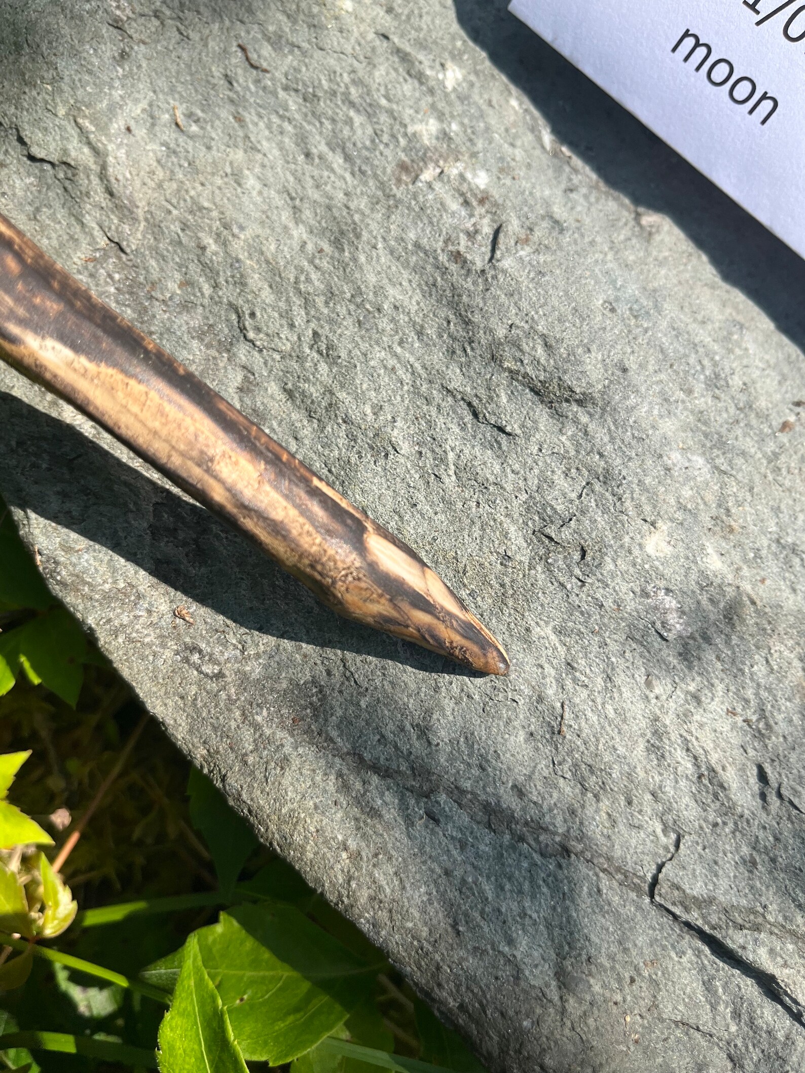 Traditional Cedar Wood Wand Named Aig Am Bheil Cruth Dubhach Na ...