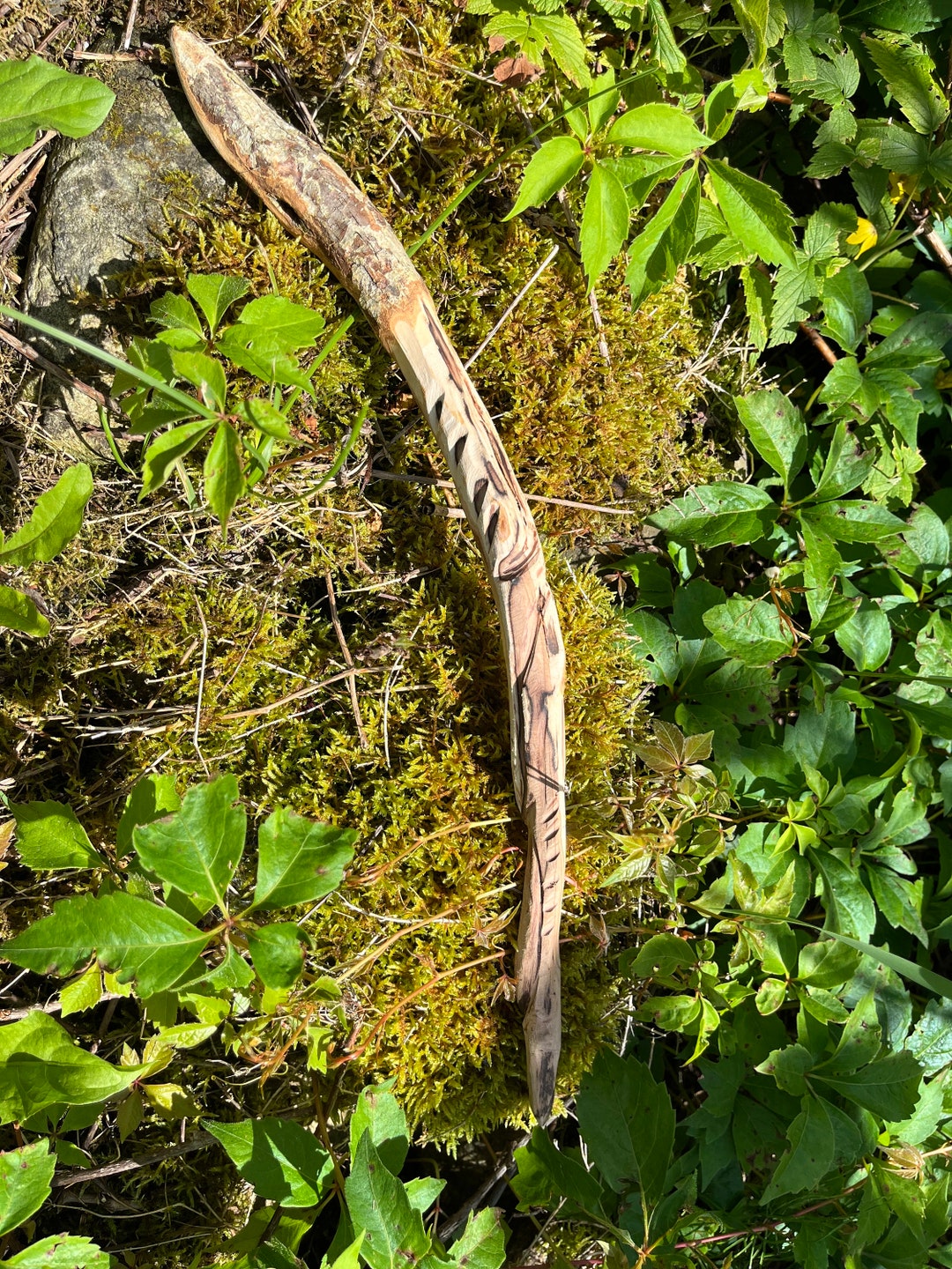 Natural Magic Wand Made of Sumac Wood Vinegar (rhus Typhina) the Wood ...