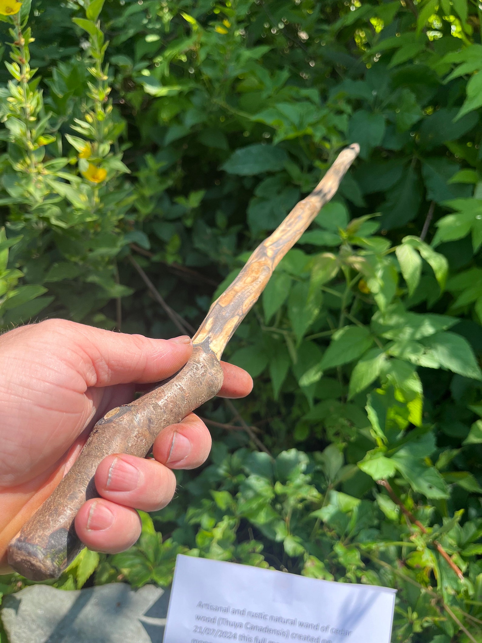 Traditional Cedar Wood Wand Named Aig Am Bheil Cruth Dubhach Na ...