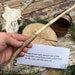 Natural Magic Wand Made of Sumac Wood Vinegar rhus Typhina the Wood of ...