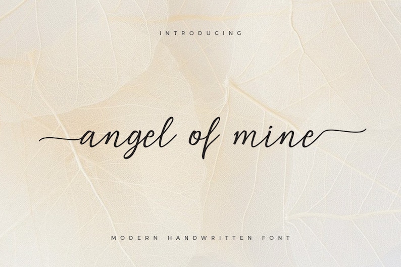 Calligraphy Font Long Lines Font Script Font Modern Font - Etsy