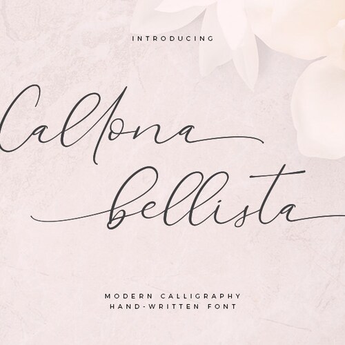 Calligraphy Font Digital Font Script Font Font Download - Etsy
