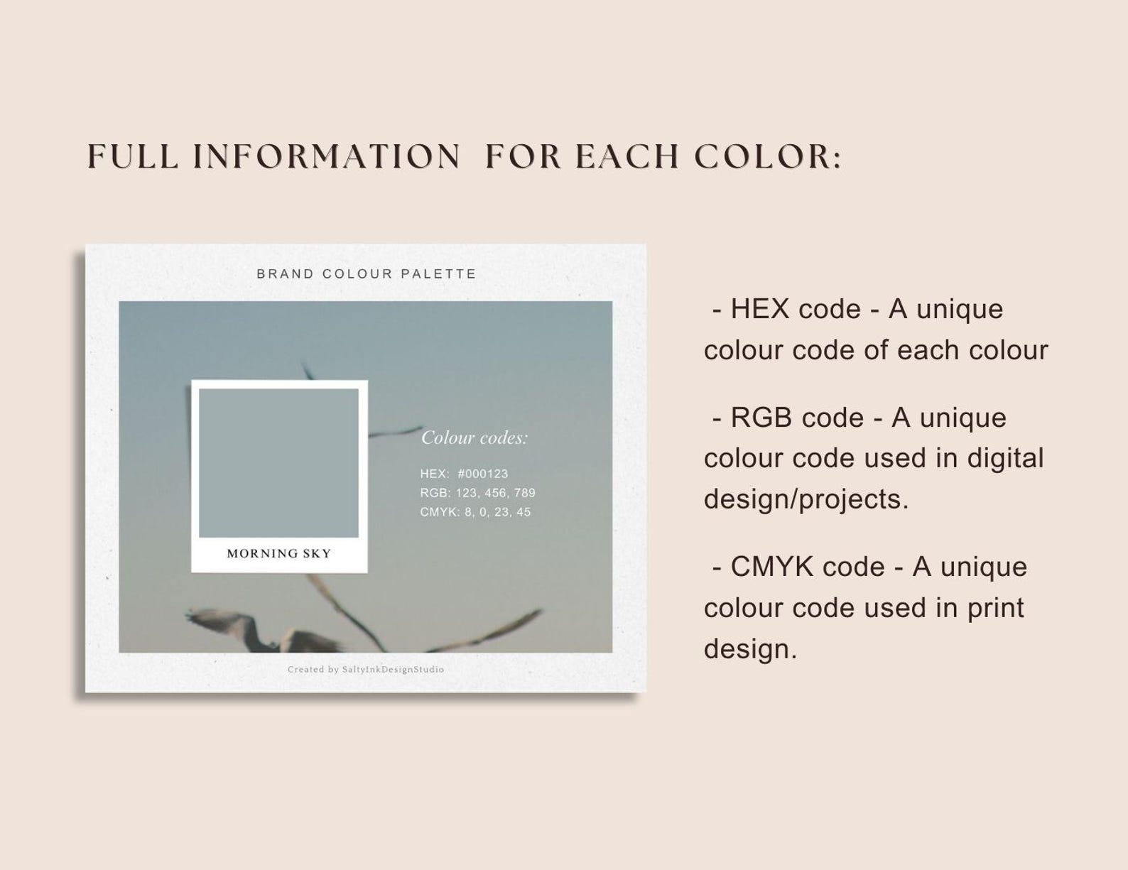 Neutral Blue Colour Palette | Brand Colour Palette | Editable Canva ...