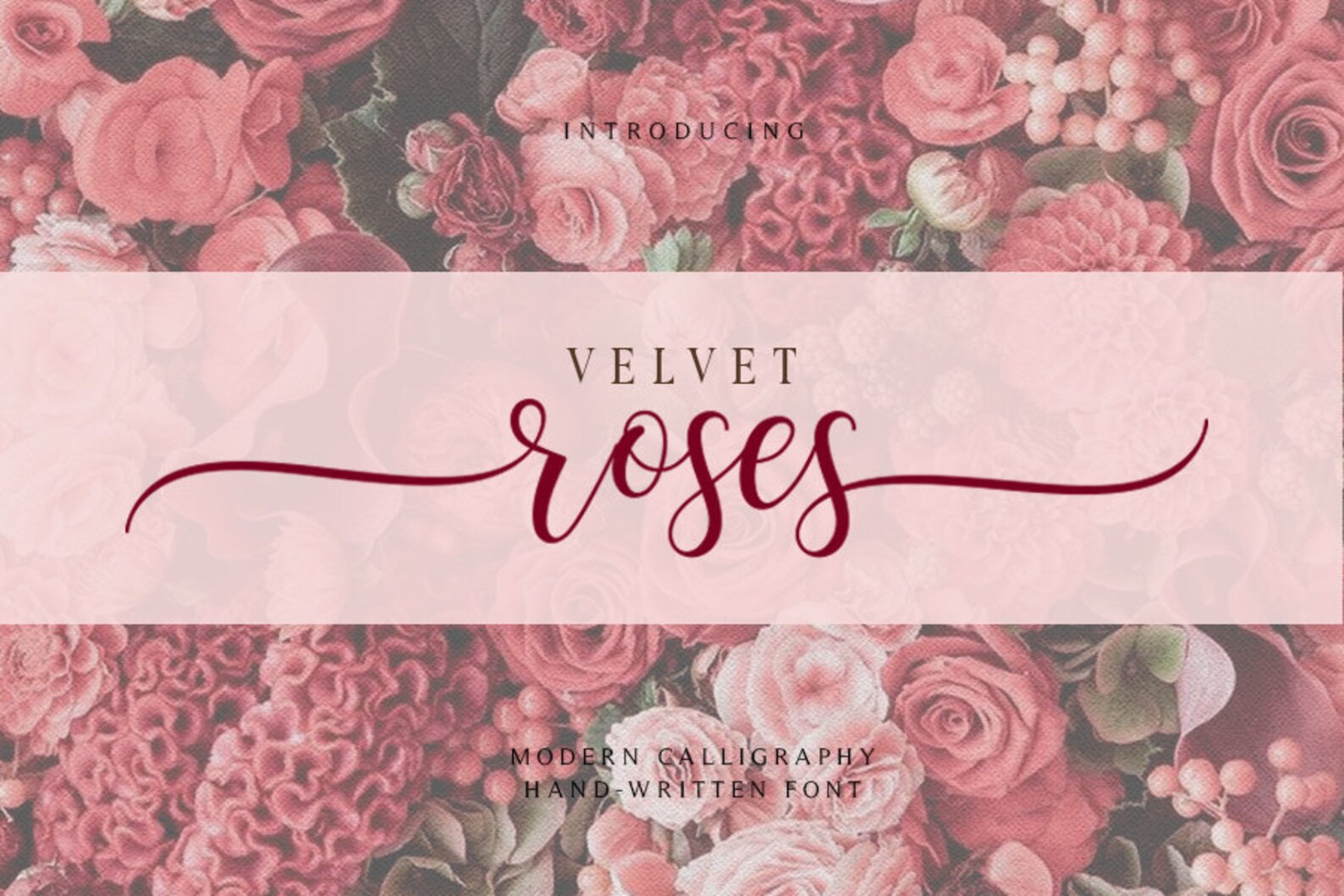 Swirls Calligraphy Font, Feminine Logo Design Font, Handwritten Script ...