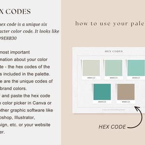 Mint Color Palette | Editable Canva Color Palette | Small Business ...