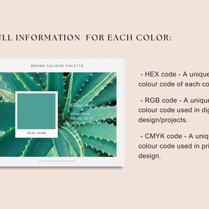 Mint Color Palette | Editable Canva Color Palette | Small Business ...