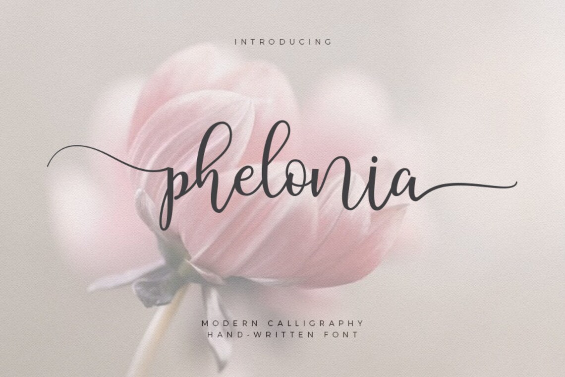 Digital Font Font Download Calligraphy Font Handwritten - Etsy