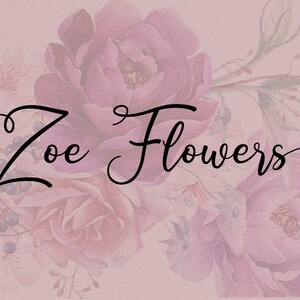Calligraphy Script Font, Modern Handwritten Style TTF, OTF, Digital ...
