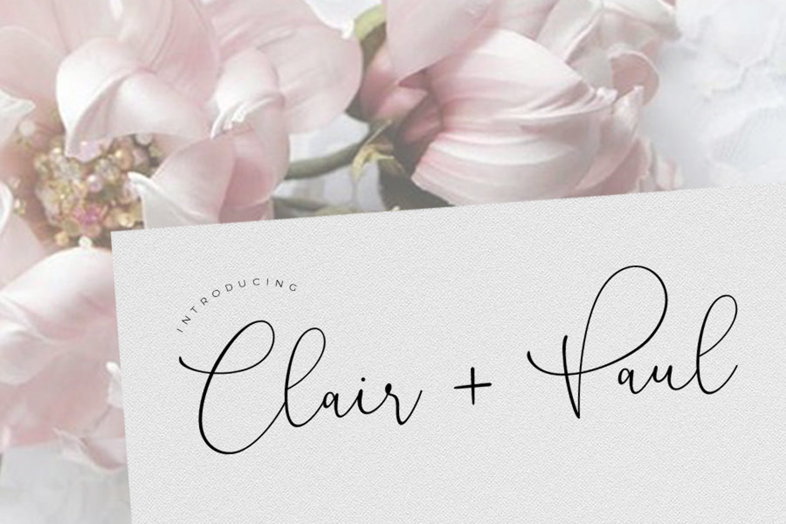 Calligraphy Font Swirls Font Script Font Handwritten Font | Etsy UK