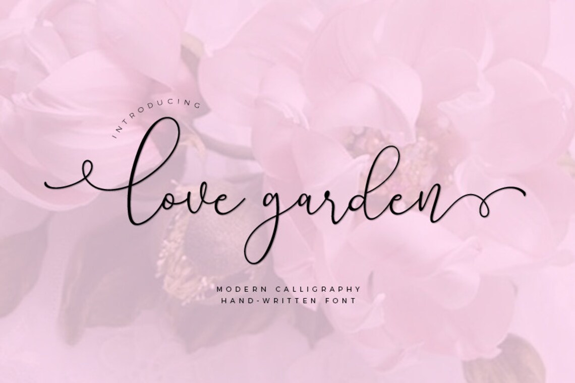 Calligraphy Font Swirls Font Script Font Handwritten Font | Etsy UK