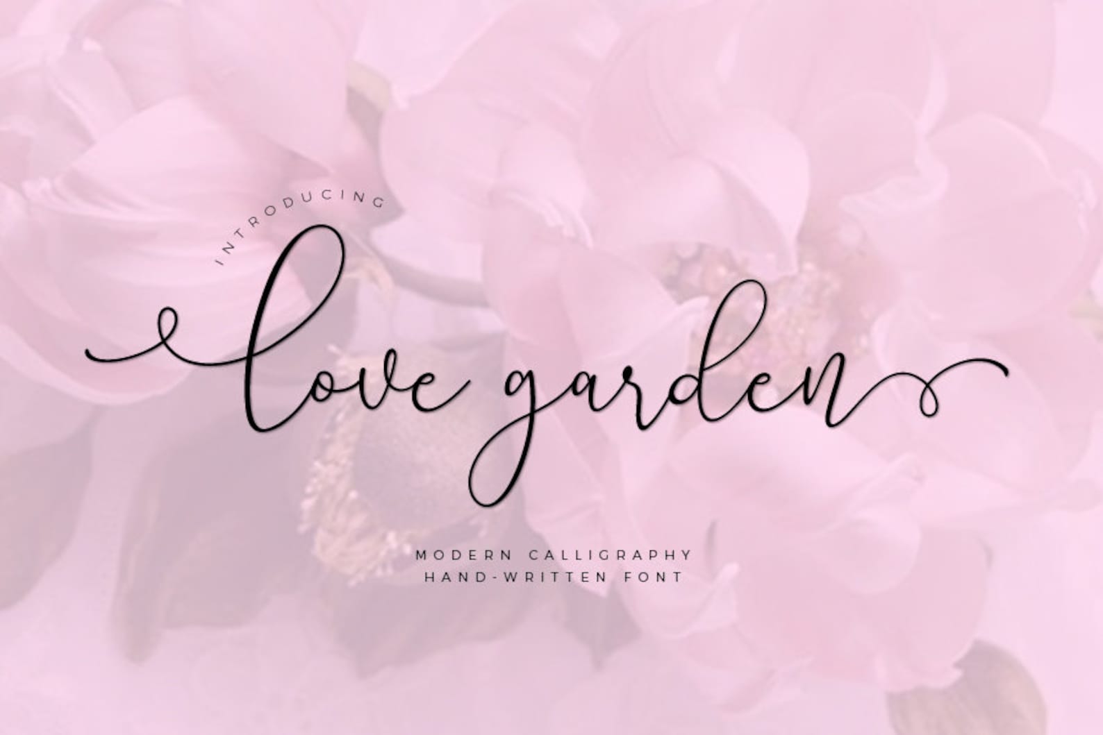 Calligraphy Font, Swirls Font, Script Font, Handwritten Font, Ligatures ...