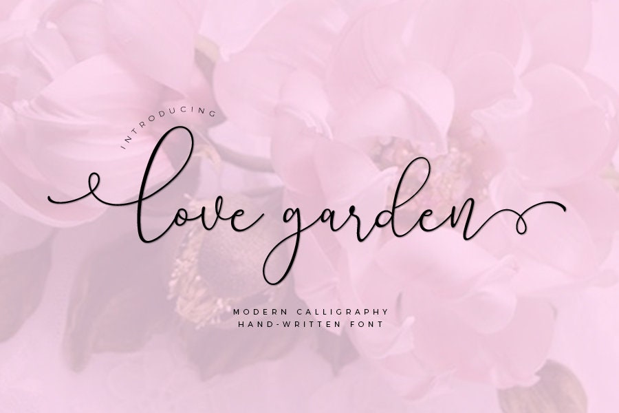 Calligraphy Font, Swirls Font, Script Font, Handwritten Font, Ligatures ...