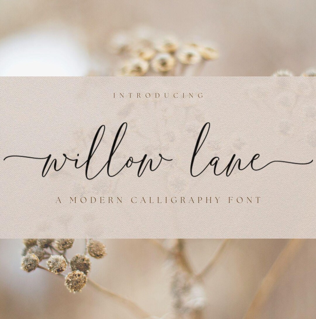 Calligraphy Font, Long Lines Font, Script Font, Modern Font ...