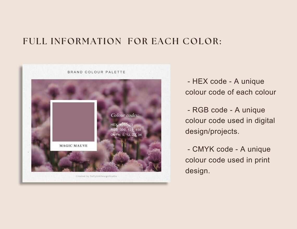 Warm Neutral Brand Palette | Small Business Brand Kit | Editable Canva ...