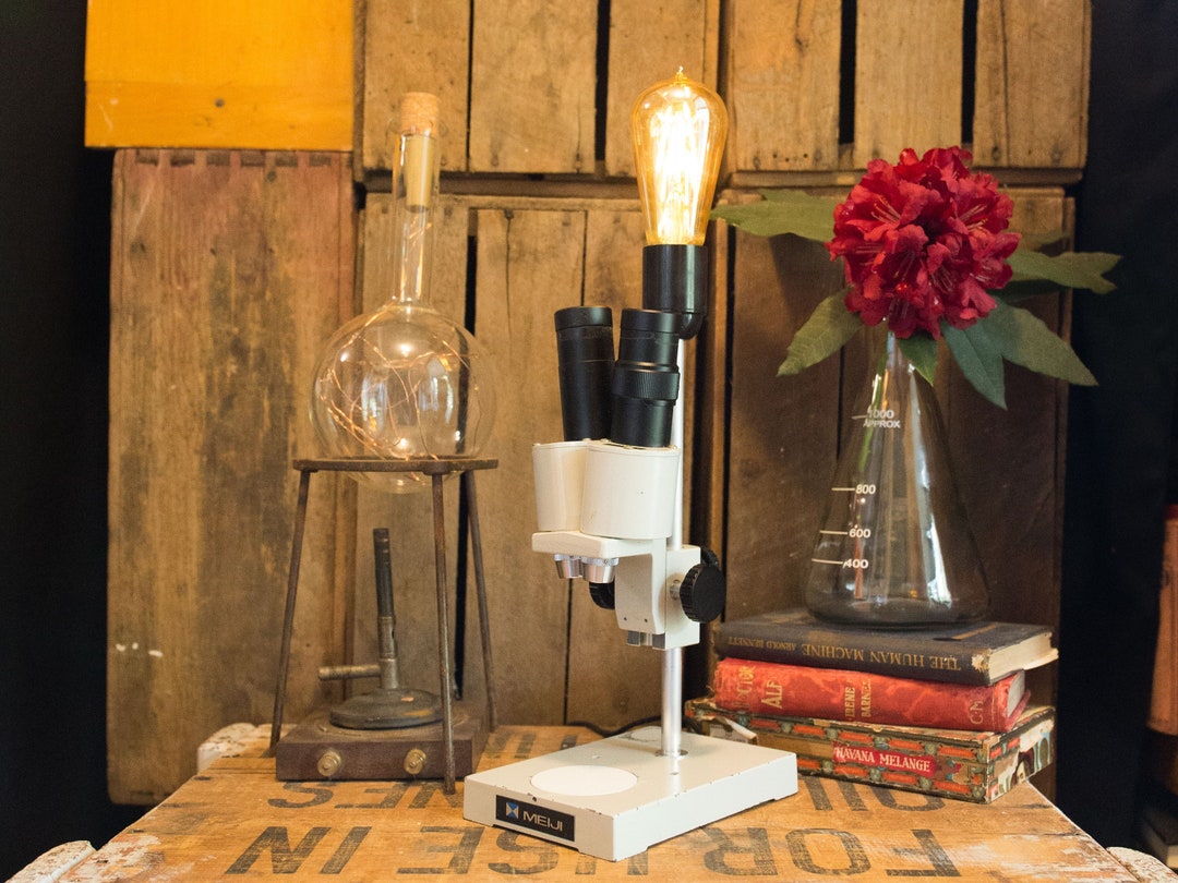 Industrial Stereo Microscope Lamp, Reclaimed Science Laboratory ...