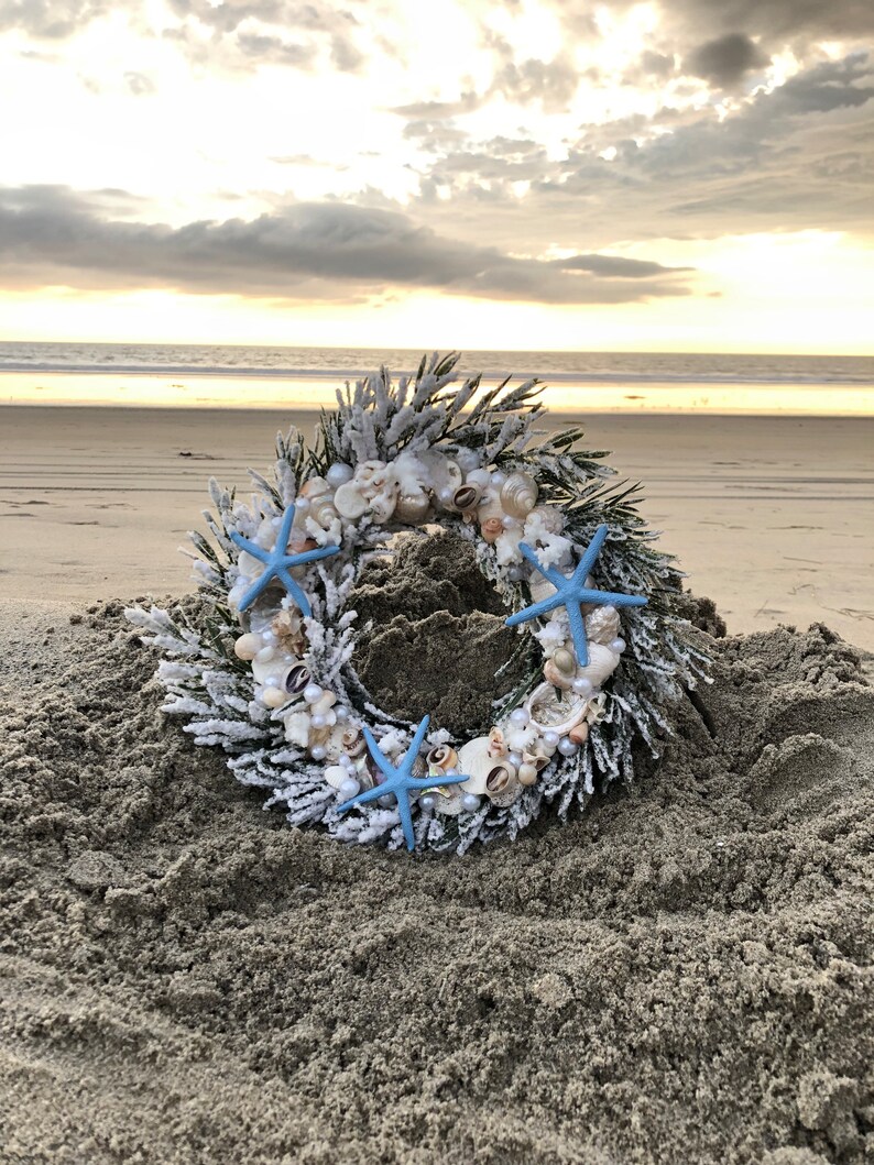 Natural Flocked Sea Shell Wreath, Nautical, Coastal, Tropical, Home ...