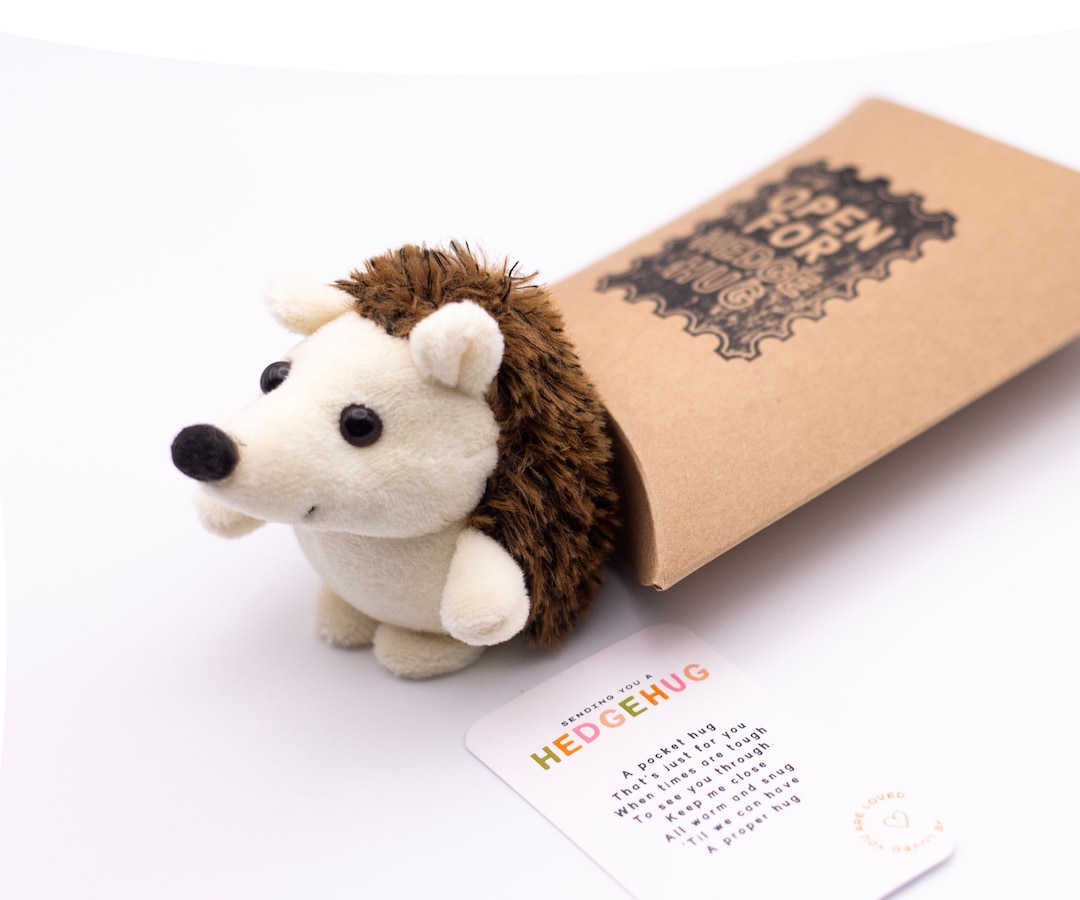 Hedgehog Plush Hug Gift Box: Cheer up Care Package, Sending Hugs, Poem ...