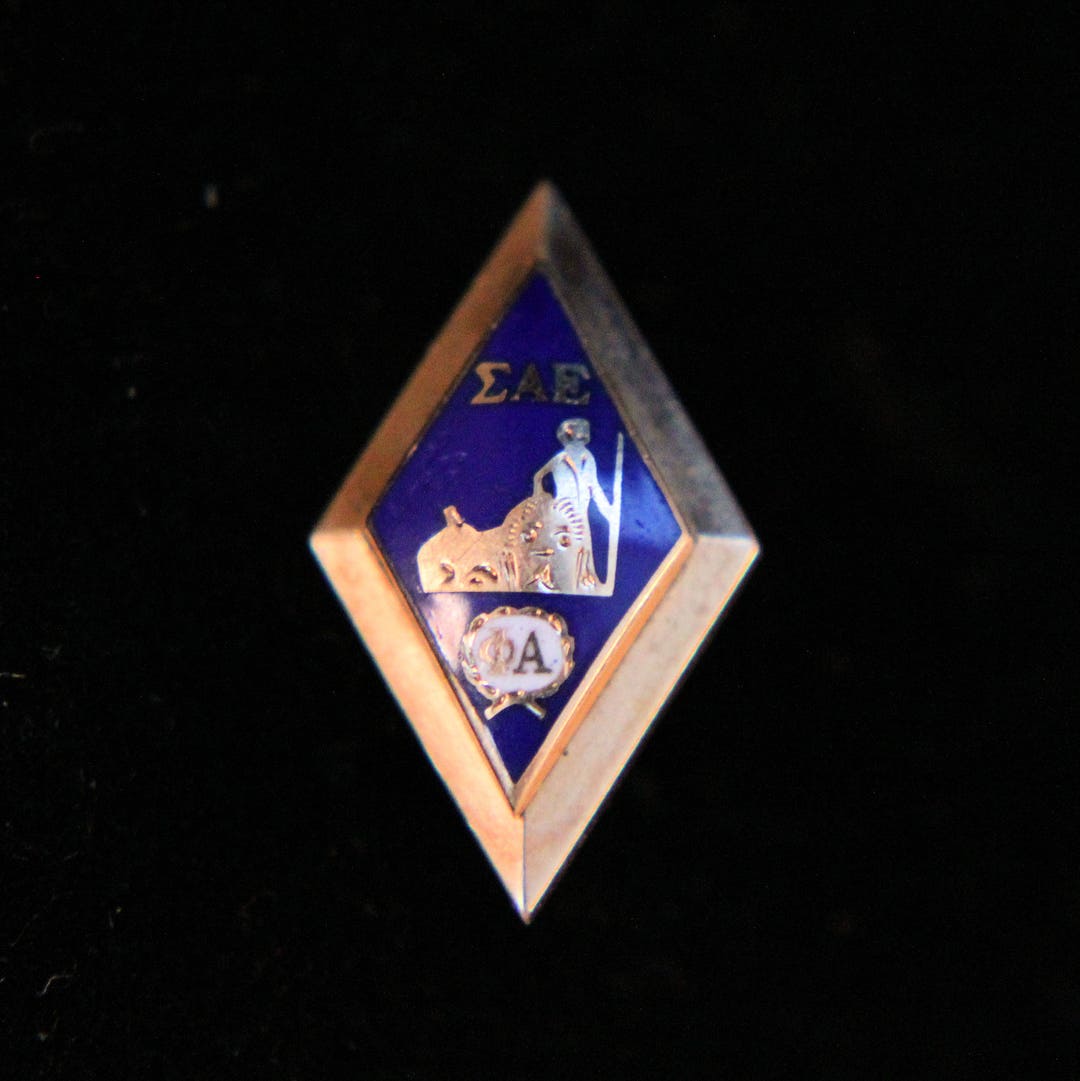 Vintage 14K Yellow Gold Sigma Alpha Epsilon Pin 2.47 Grams Numbered ...