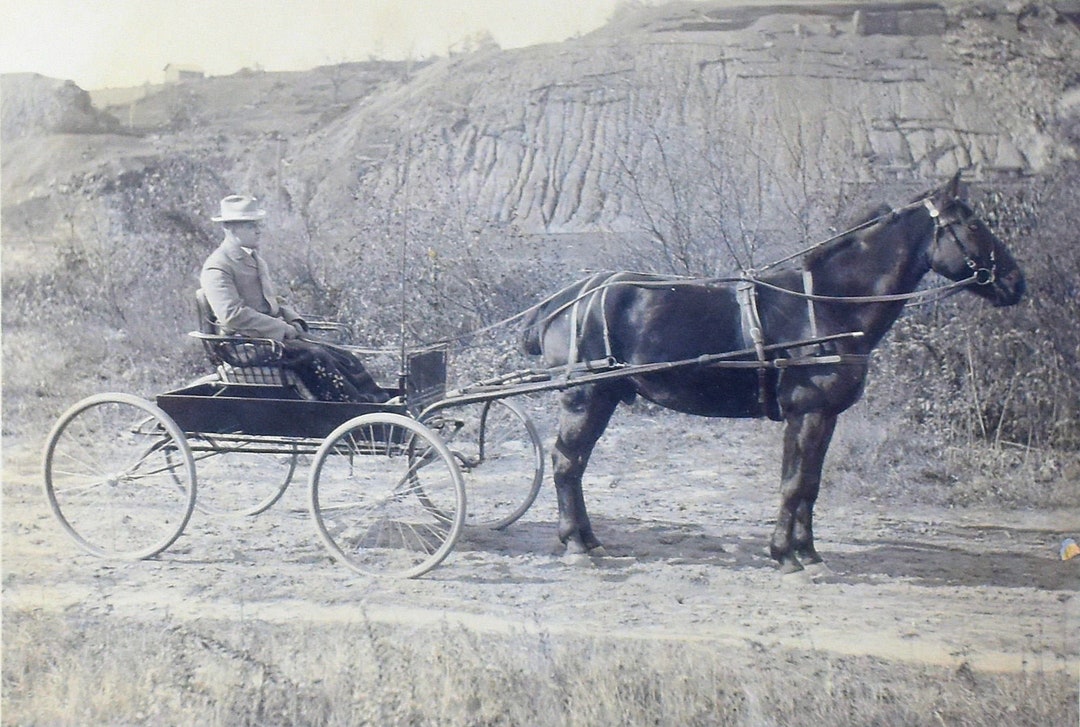 Antique Photo of Dr. Andrew Suydam Fritts in a Horse-drawn Carriage ...