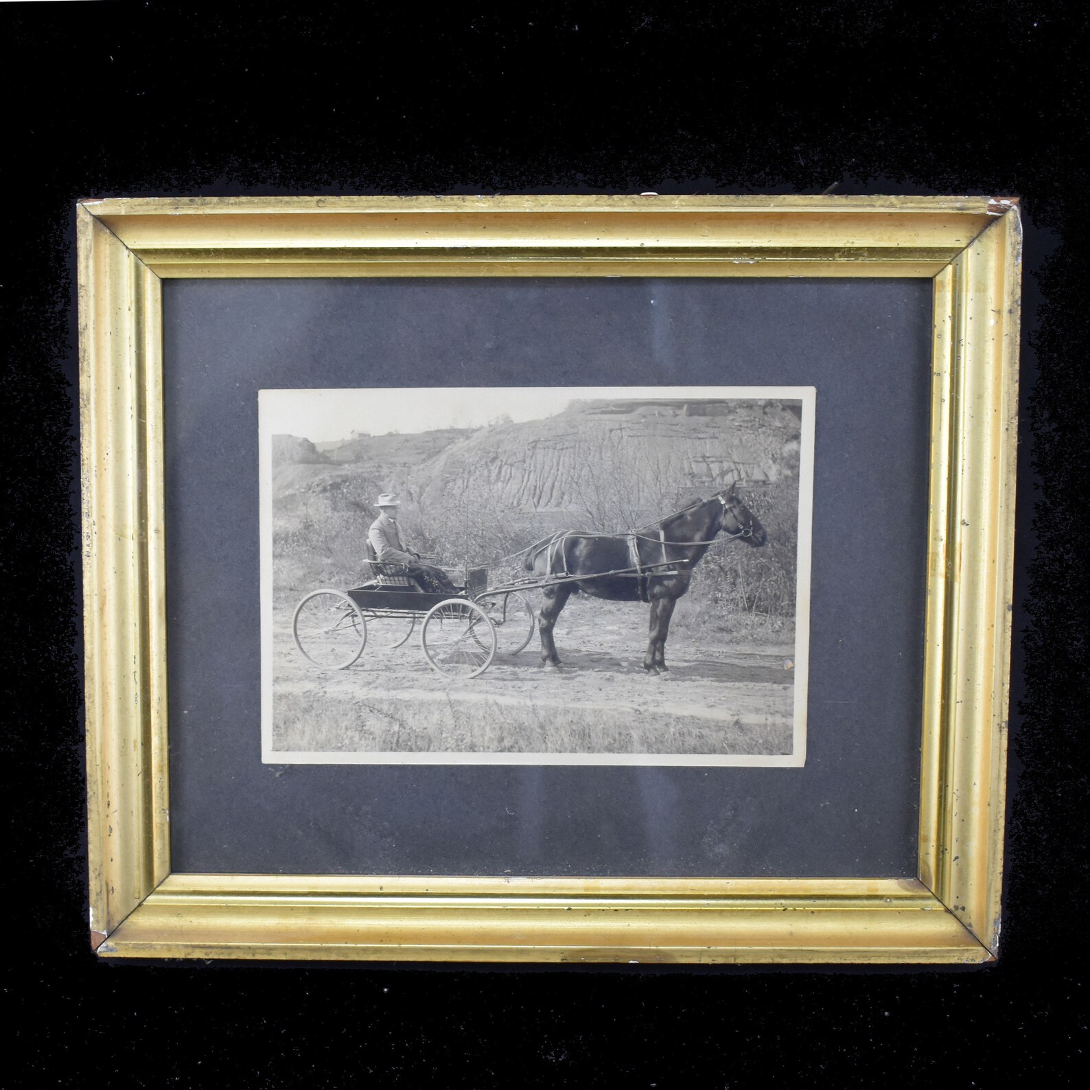 Antique Photo of Dr. Andrew Suydam Fritts in a Horse-Drawn | Etsy