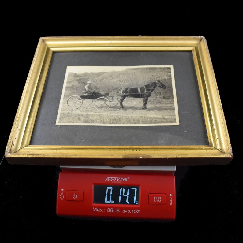 Antique Photo of Dr. Andrew Suydam Fritts in a Horse-Drawn | Etsy