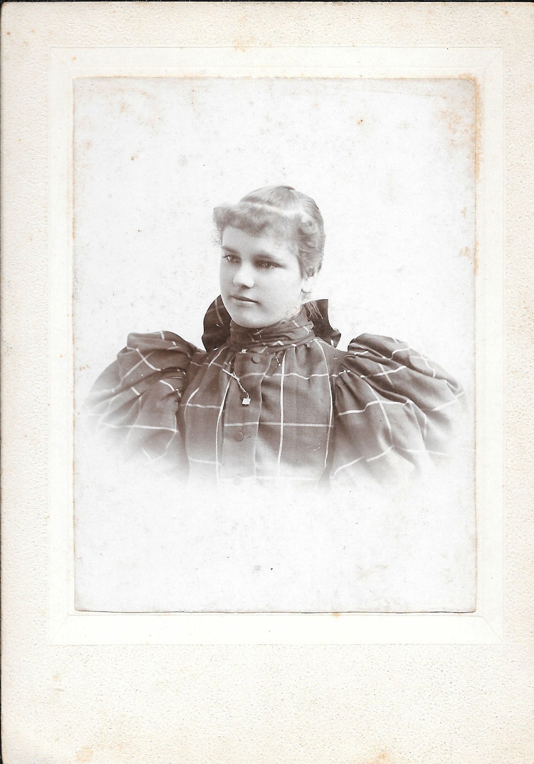 Antique Photo Portrait of Julia Feiock of Arcadia New York Circa 1890 ...