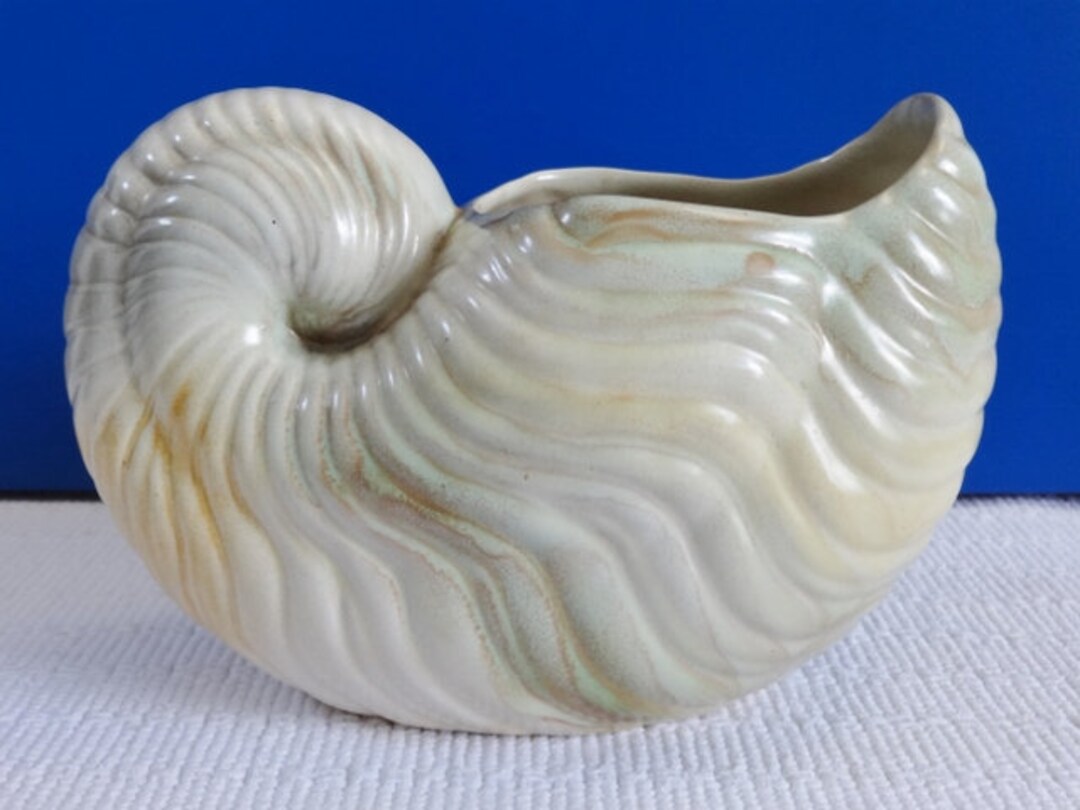 Art Deco Shorter &son Pottery Shell Shaped Planter Plant Pot - Etsy UK