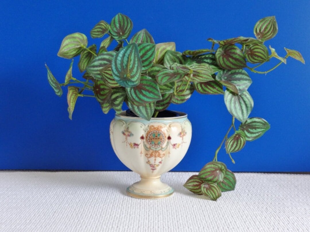 Antique Crown Devon Blush Floral Planter Plant Pot - Etsy