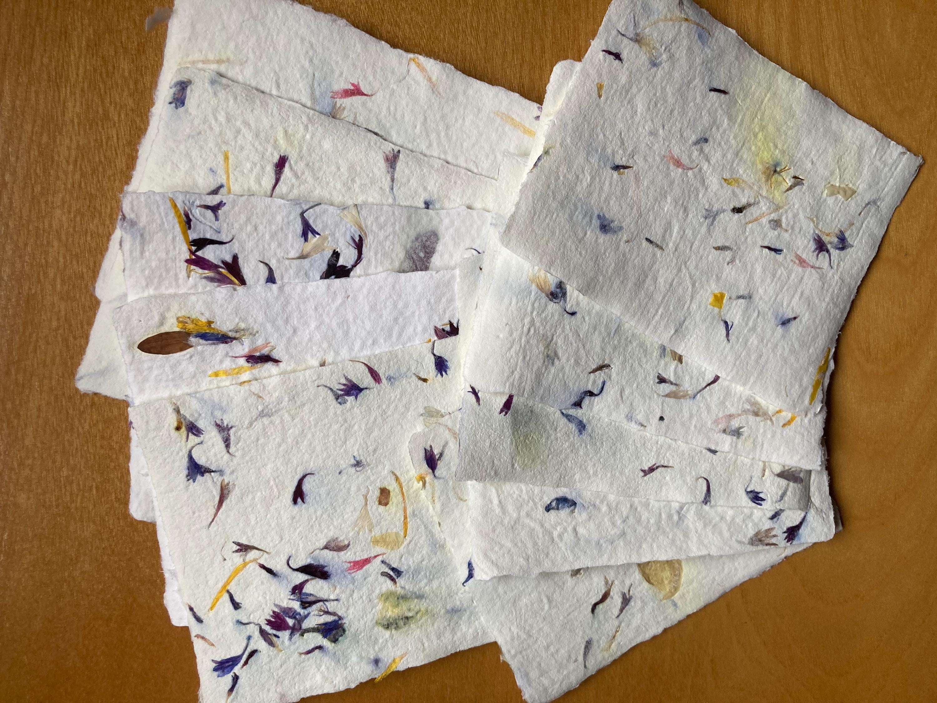 4''x 5'' Flower Petal Paper Set of 10 - Etsy