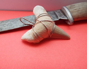 Megalodon Shark Tooth Pendant Charm for Necklace, Wire Wrapped Shark ...