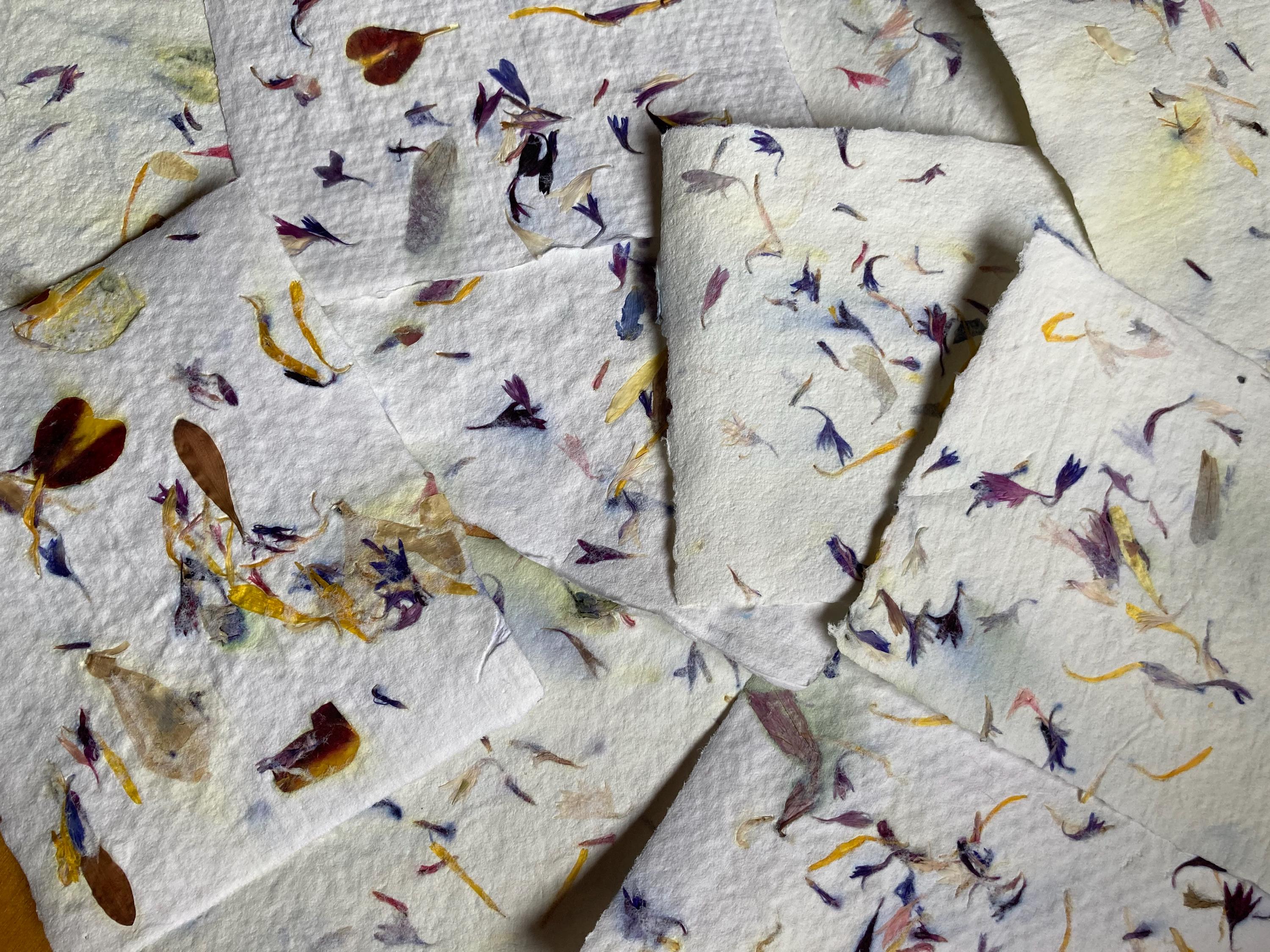 4''x 5'' Flower Petal Paper Set of 10 - Etsy
