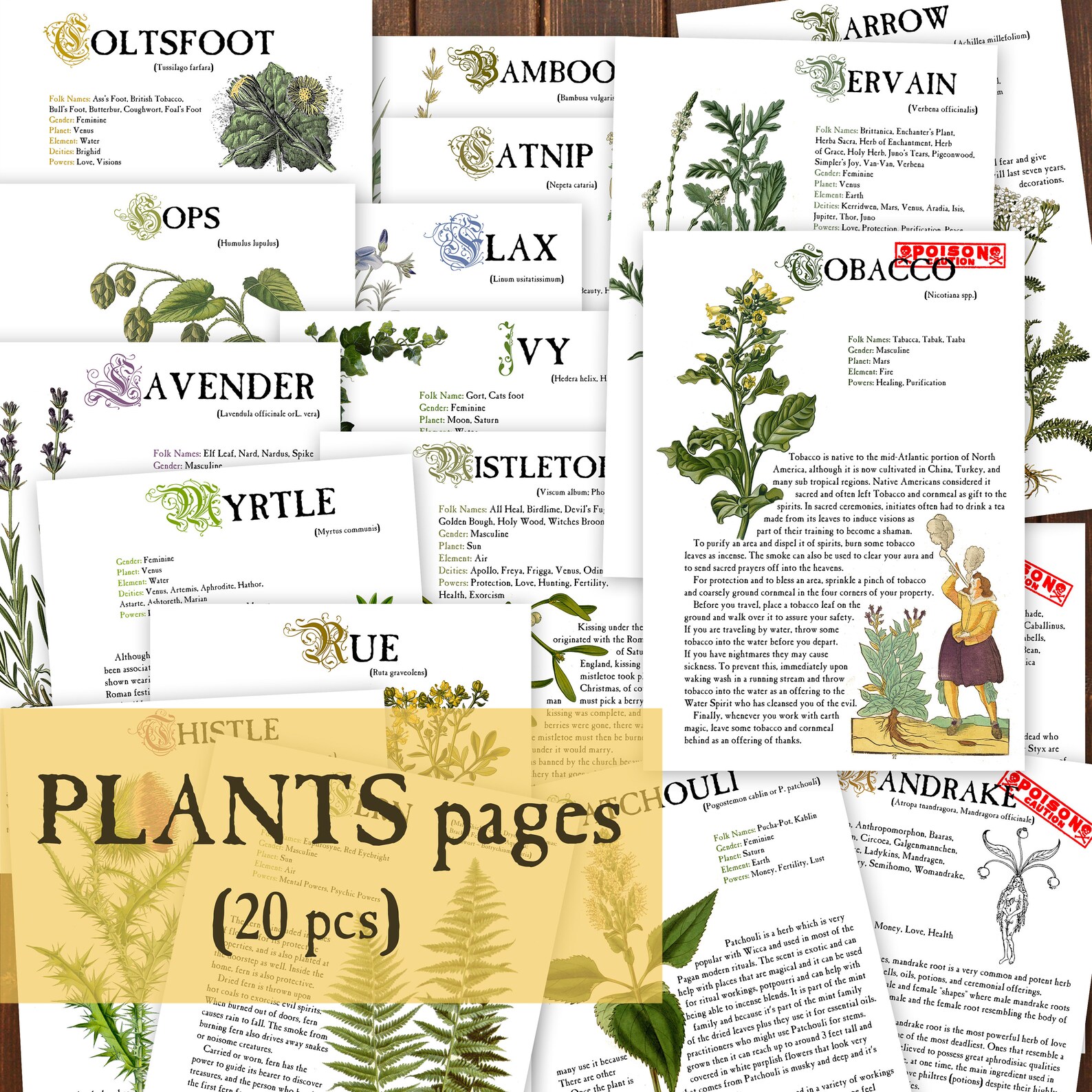20 PLANTS Herbology Digital Pages for Book of Shadows Herbs - Etsy