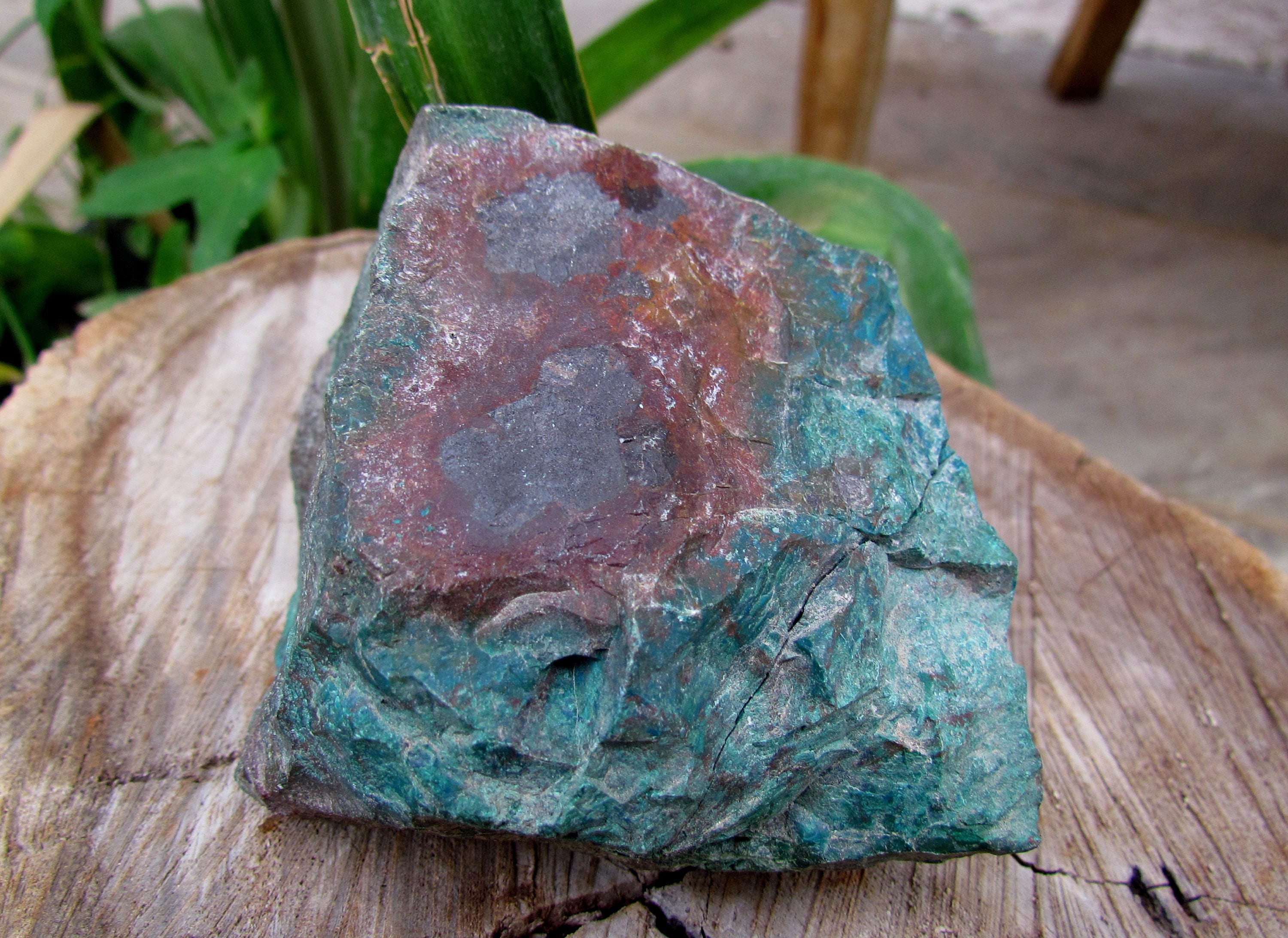 Eilat Stone Rough Semi Polish Specimen Natural Stone Rare - Etsy Israel