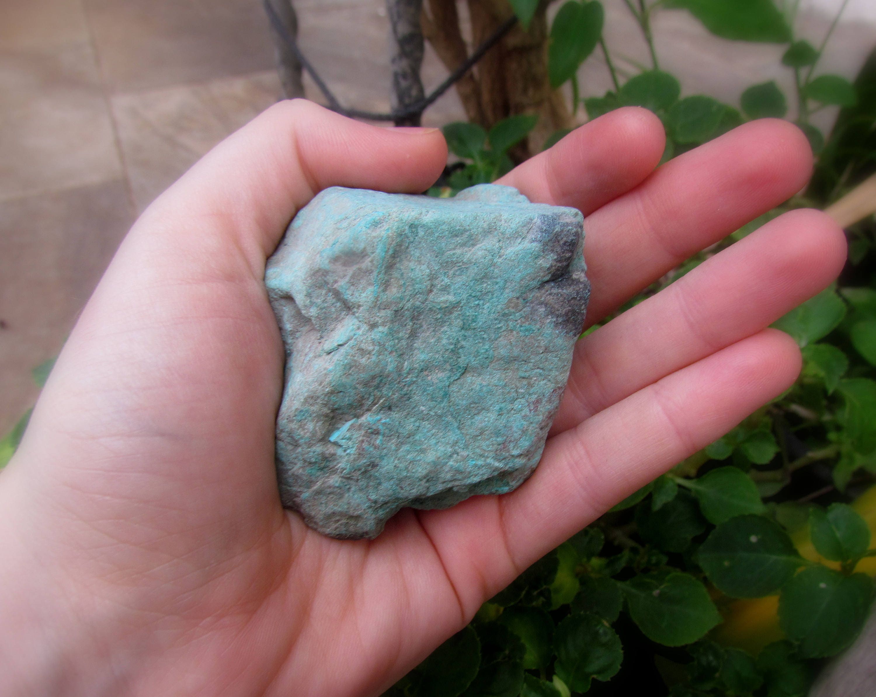 Eilat Stone Rough Specimen Natural Stone Rare from King - Etsy