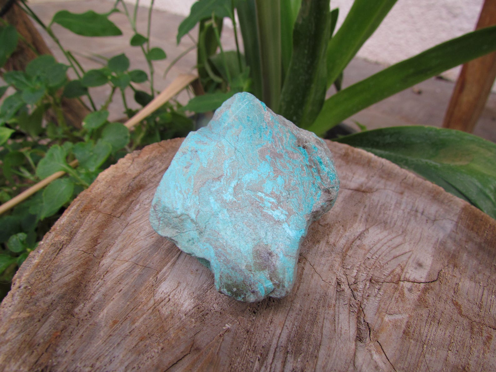 Eilat Stone Rough Specimen Natural Stone Rare from King - Etsy