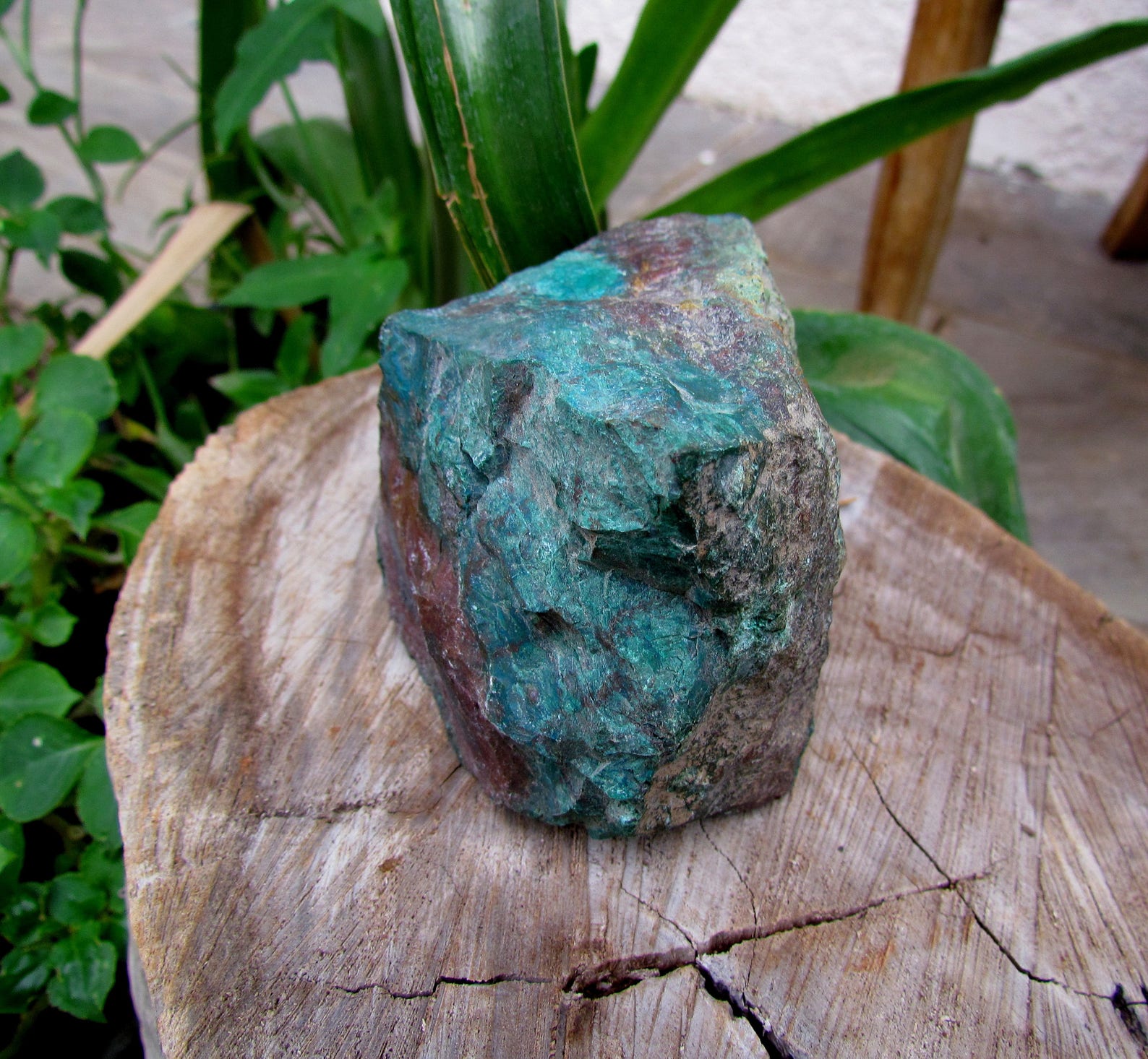 Eilat Stone Rough Semi Polish Specimen Natural Stone Rare - Etsy Israel