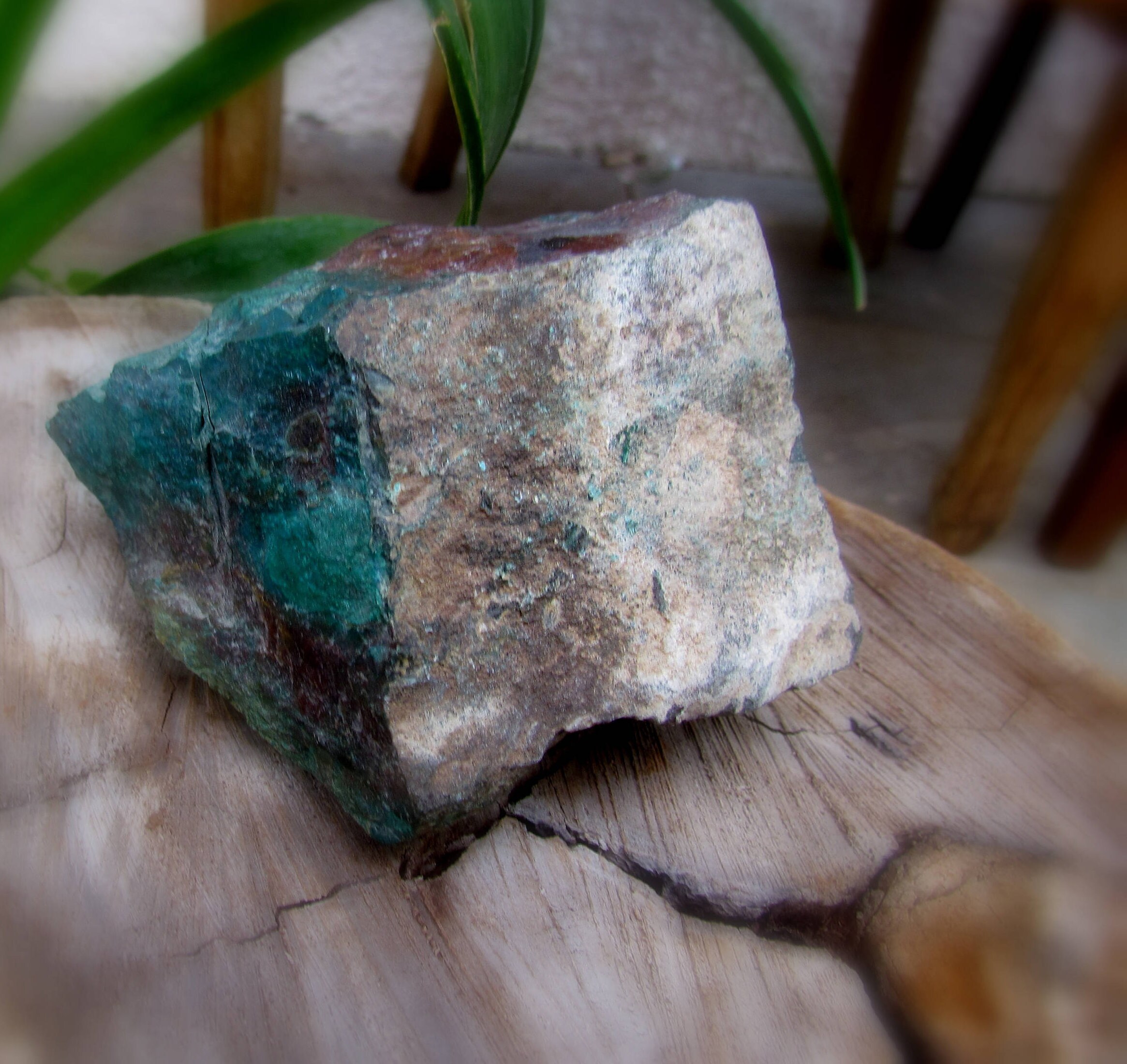 Eilat Stone Rough Semi Polish Specimen Natural Stone Rare - Etsy Israel