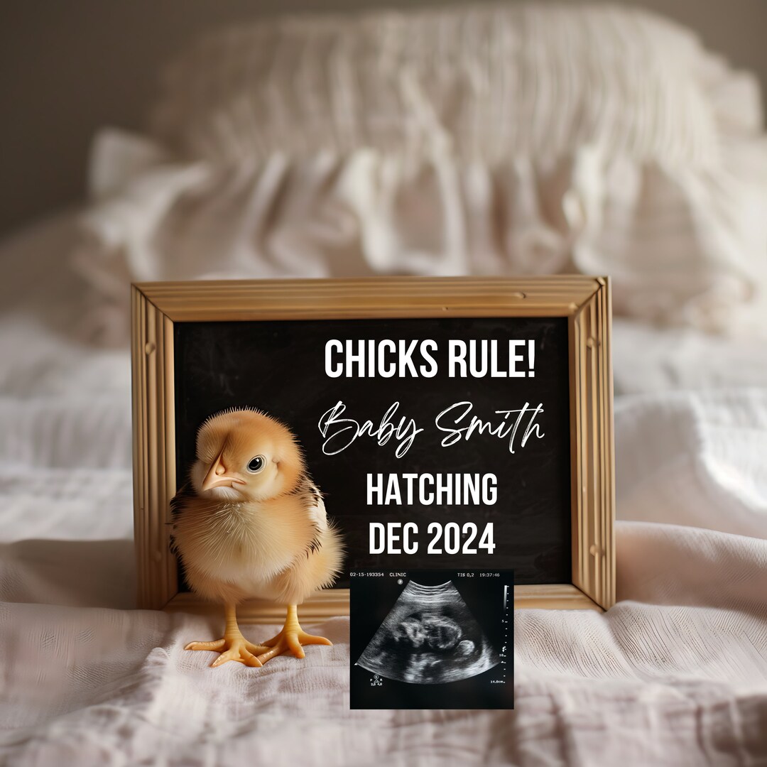 Chicks Rule Baby Announcement, Digital Pregnancy Announcement, New to ...