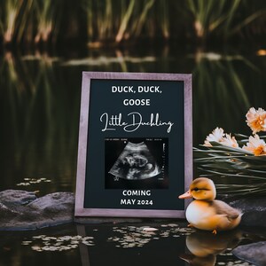 Little Duckling Pregnancy Announcement: Social Media Gender Reveal ...