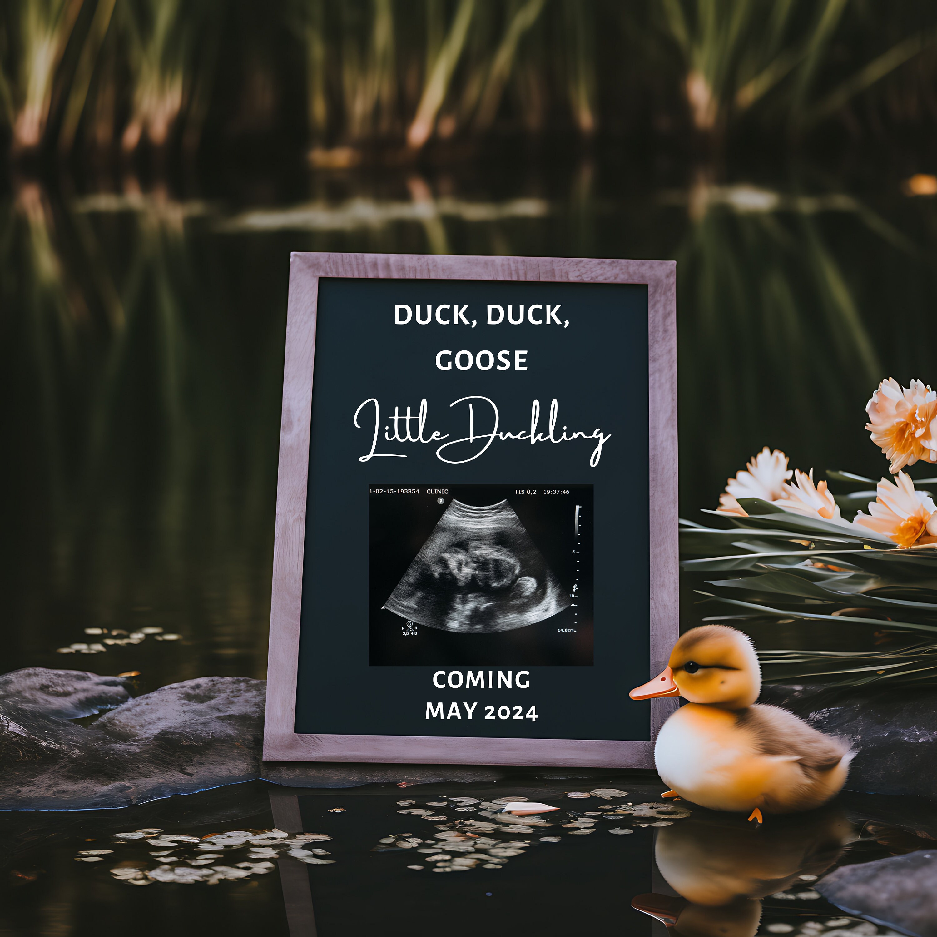 Little Duckling Pregnancy Announcement: Social Media Gender Reveal ...