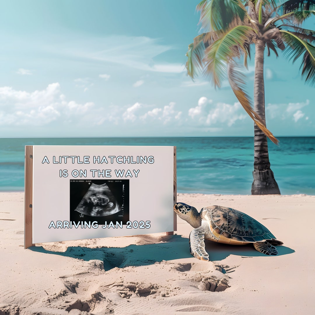 Turtle Beach Ohana Baby Announcement, Gender Reveal, Adventure Awaits ...
