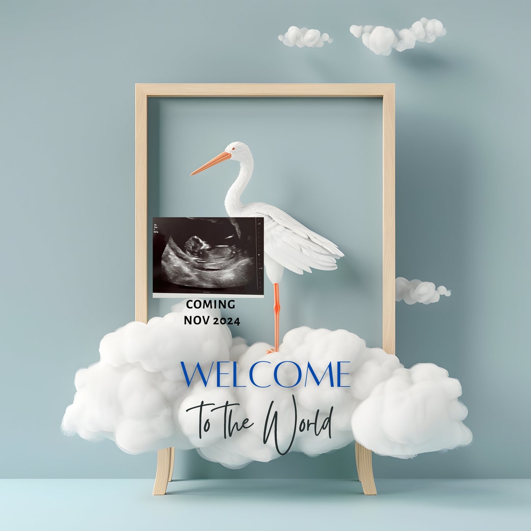 Stork Mom to Be Pregnancy Announcement / Editable Baby Announcement ...
