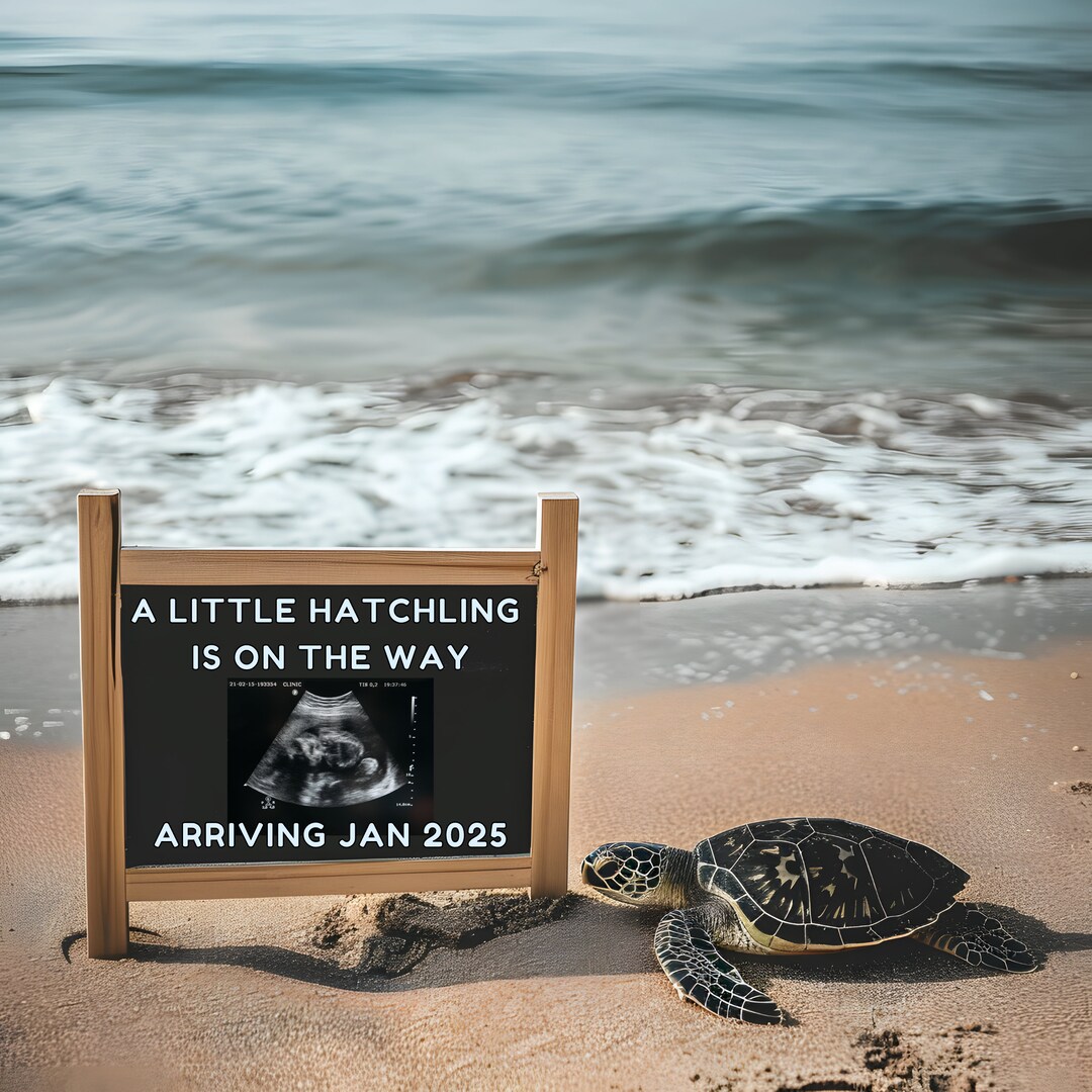 Turtle Digital Pregnancy Announcement \ Baby Girl Boy Announcement ...