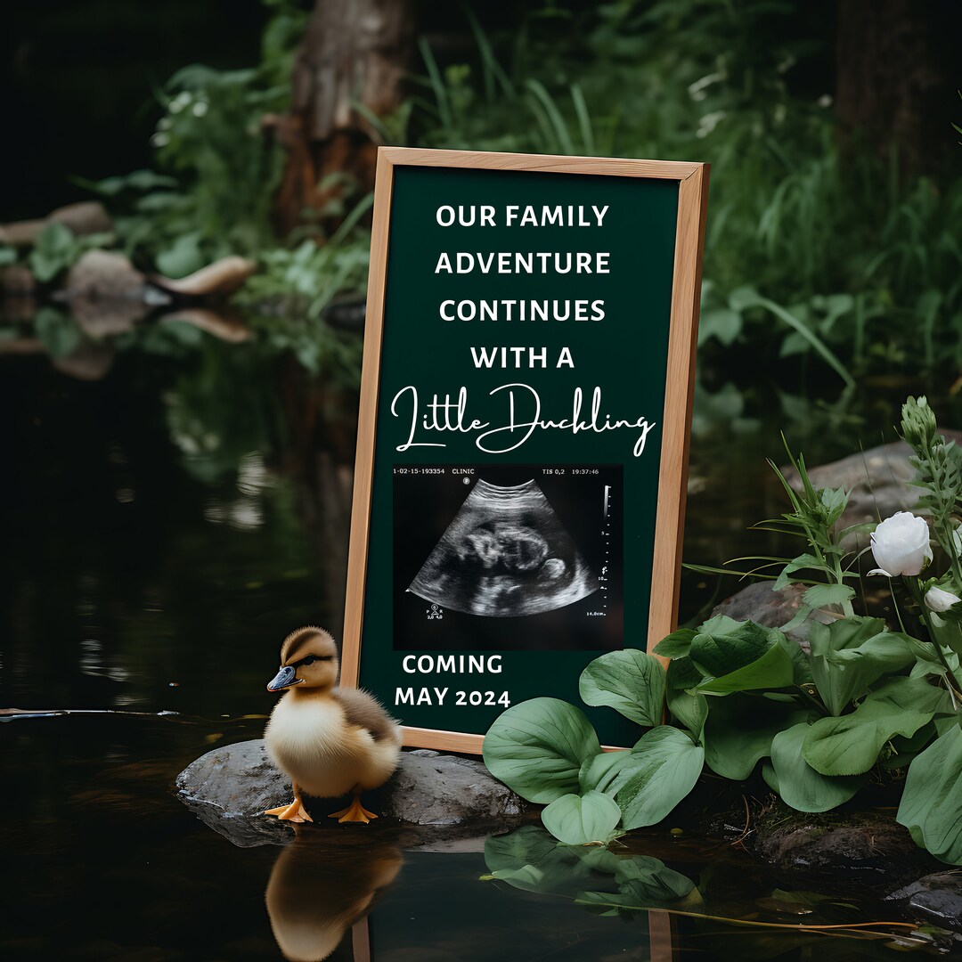 New Adventures Coming Soon Pregnancy Announcement | Adventure Themed ...